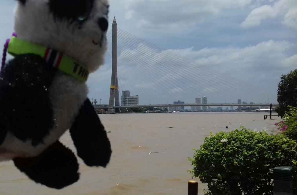 Tom the panda's Thailand Trip report in pictures Tom the panda's Thailand Trip report in pictures